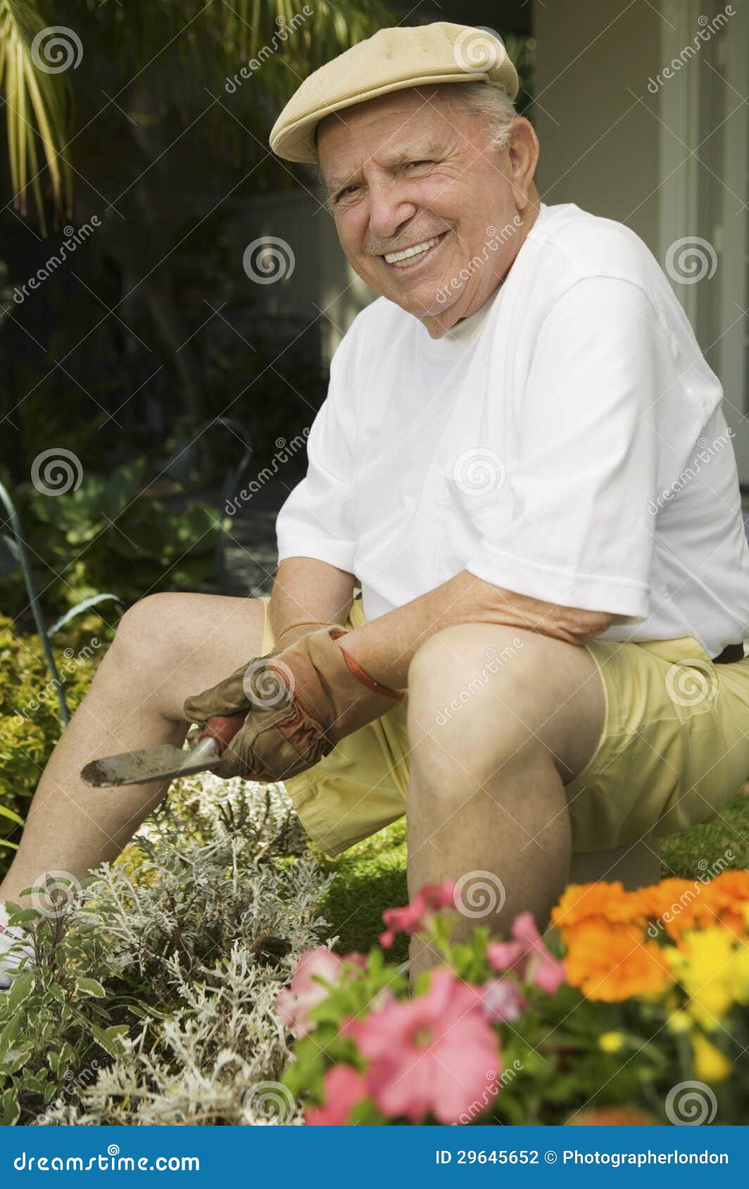 Senior Man Gardening stock photo. Image of cheerful, aged - 29645652