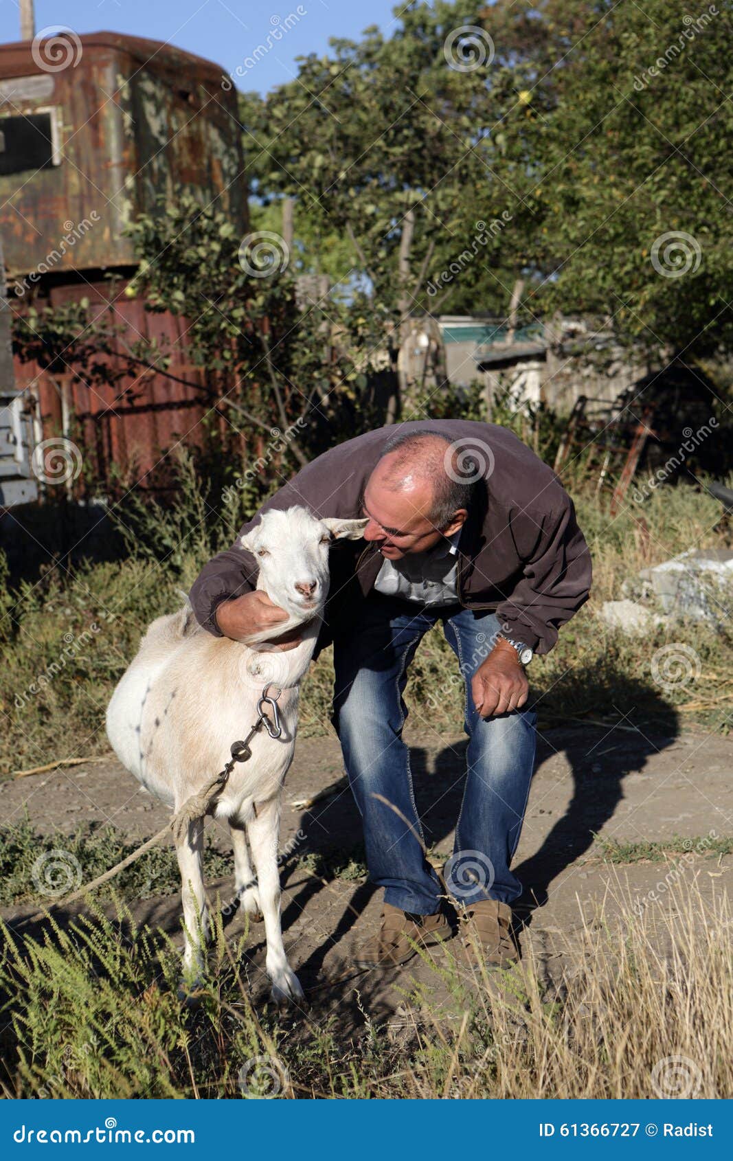 Senior man with a goat stock image. Image of farm, country - 61366727