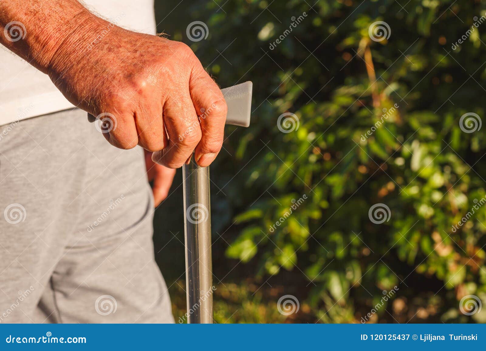 Senior Man Hands Holding Stick Close Up Stock Image - Image of ...