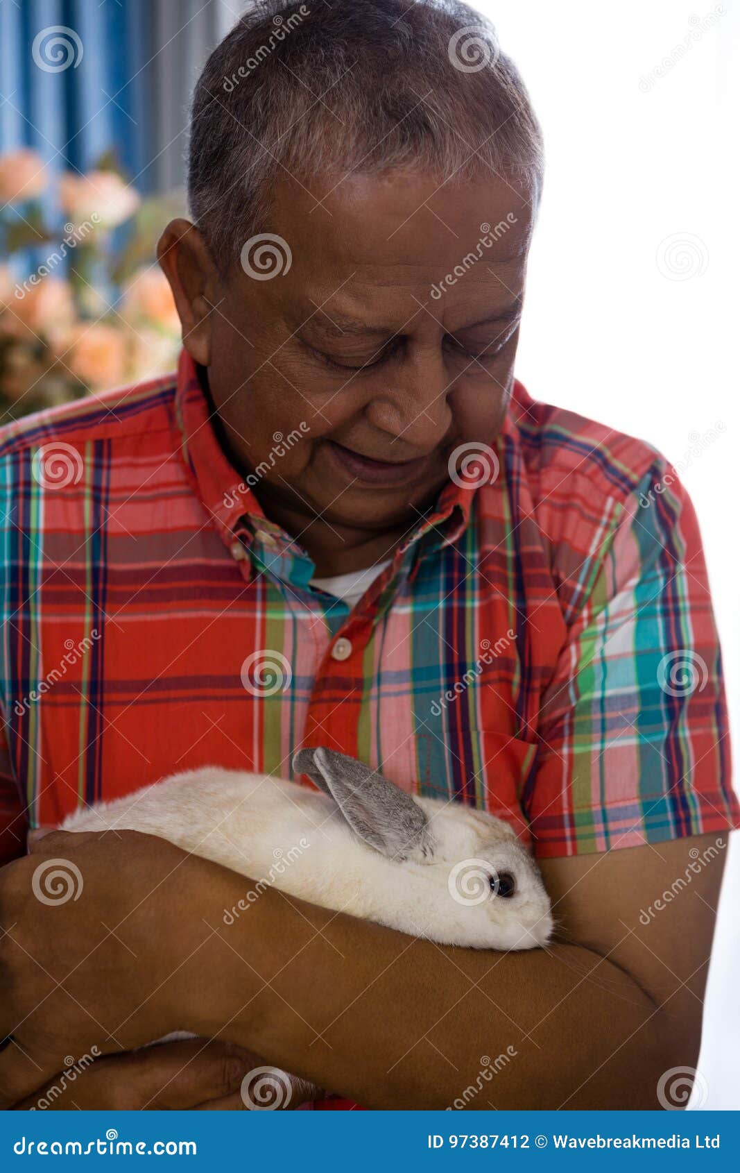 Senior Man Holding Rabbit at Retirement Home Stock Photo - Image of ...