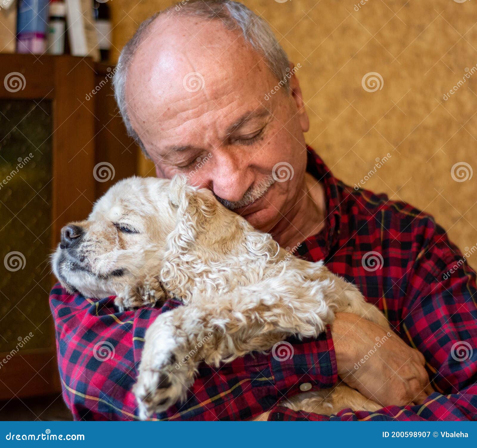 Senior Man Hugging American Cocker Spaniel Stock Image - Image of happy ...