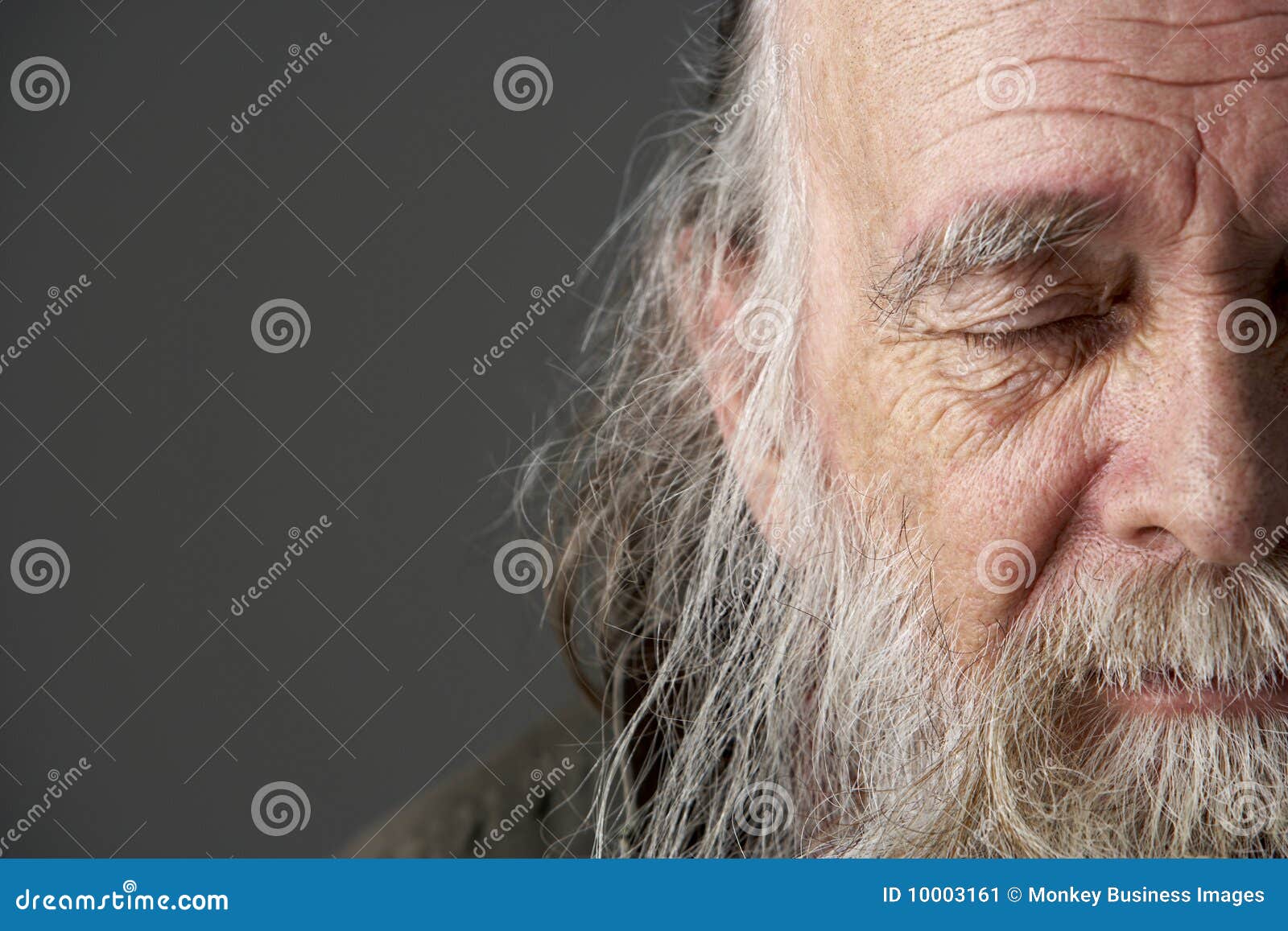 Senior Man with Long Beard stock image. Image of adult - 10003161
