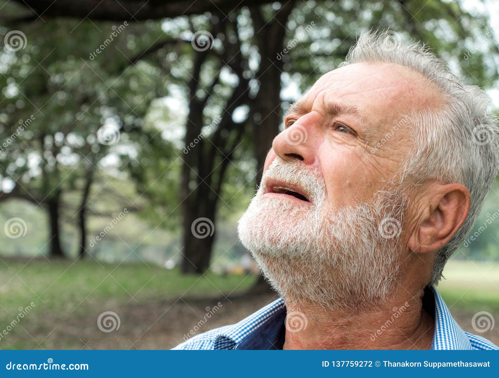 Senior Man Look Up To the Sky Stock Photo - Image of natural, older ...