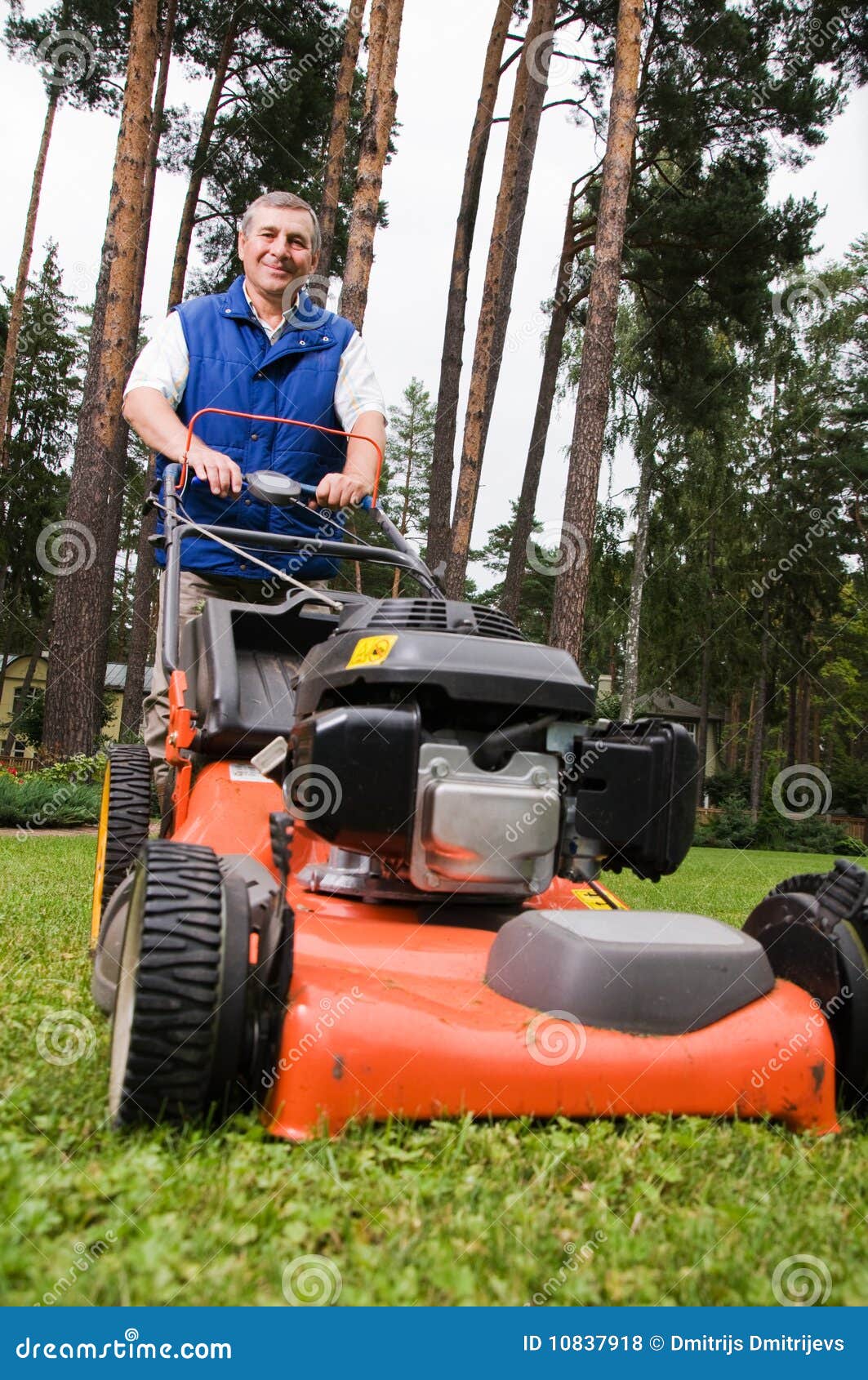 Senior Man Mowing the Lawn. Stock Photo - Image of lawn, plant: 10837918