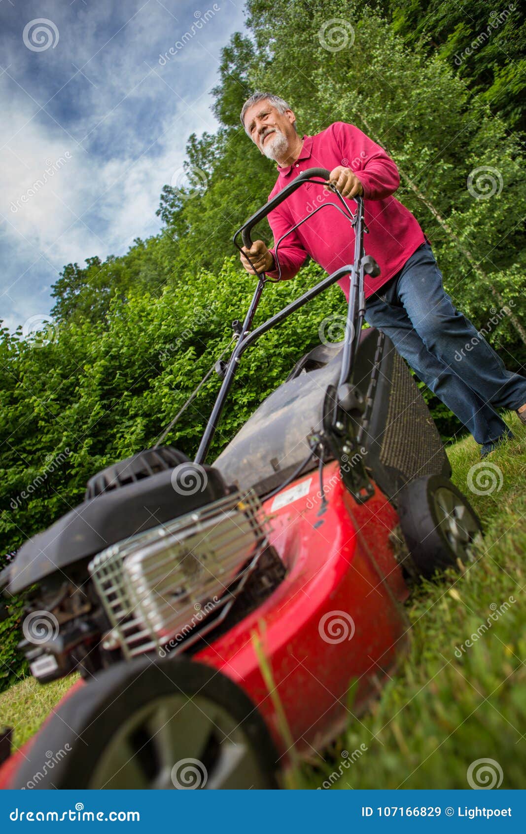 Senior man mowing the lawn stock image. Image of grounds - 107166829