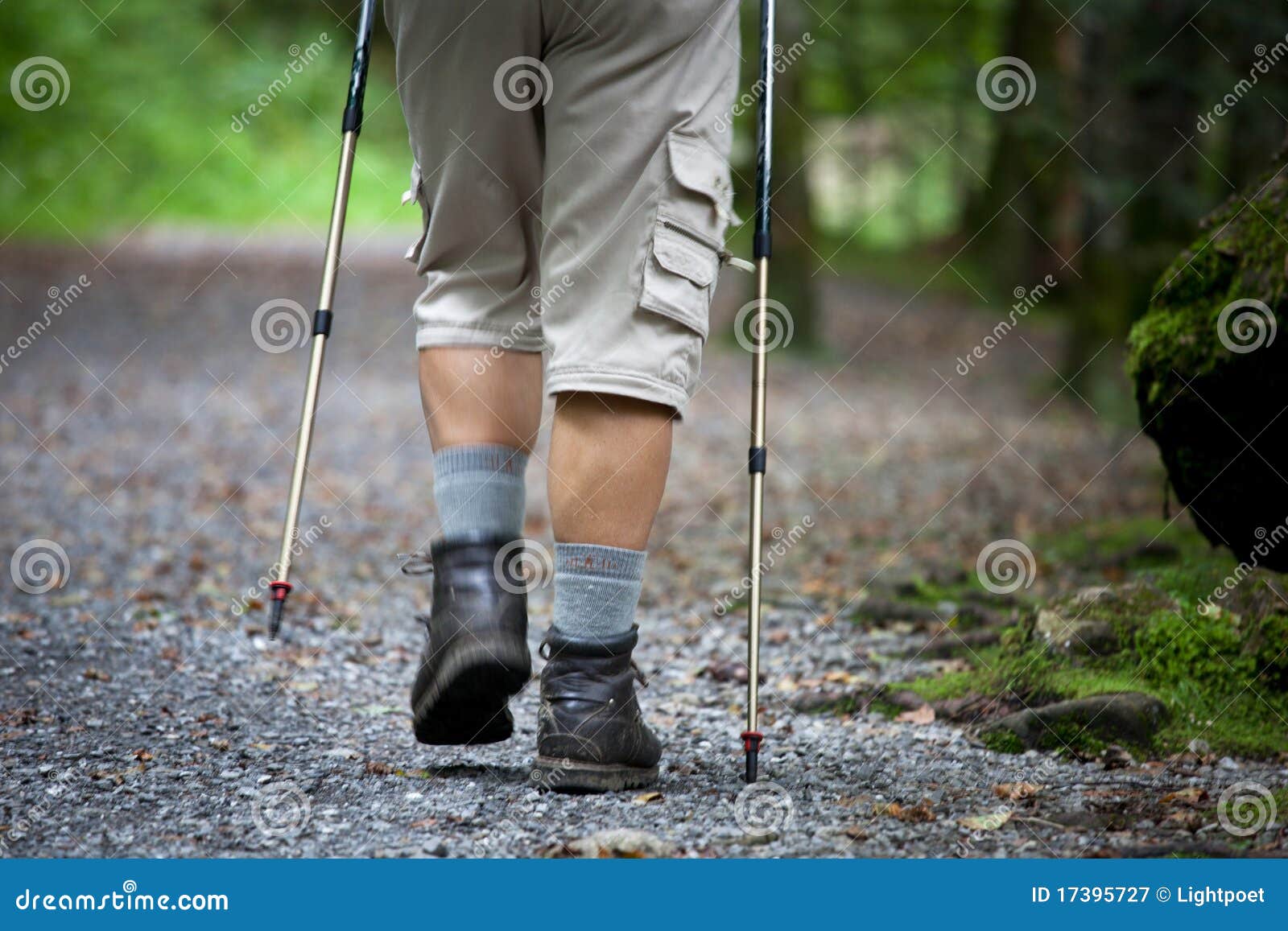 Senior Man Nordic Walking Outdoors Stock Image - Image of healthy ... Senior Man Nordic Walking Outdoors Stock Image - Image of healthy ...