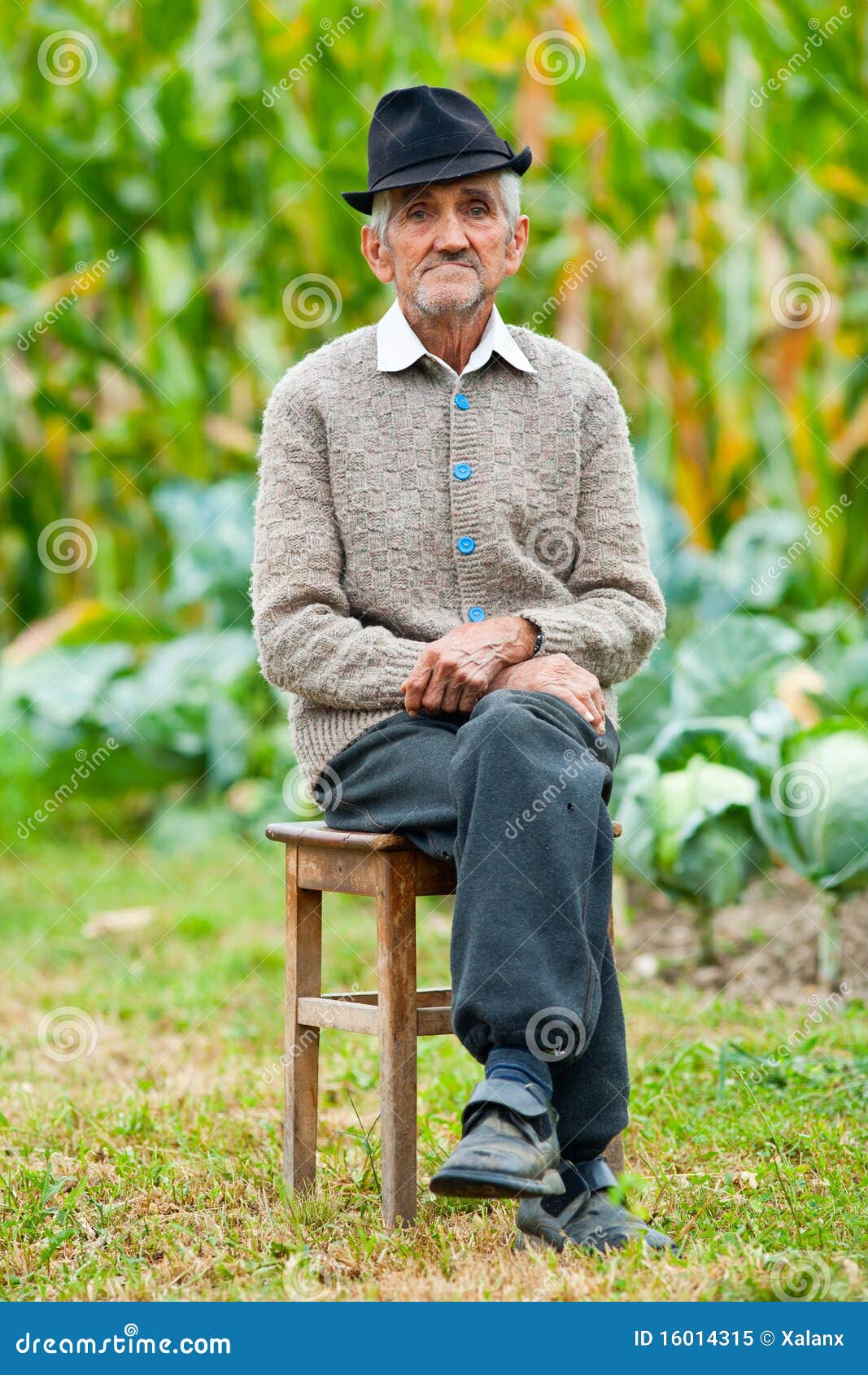 Senior man outdoor stock image. Image of lonely, farmer - 16014315