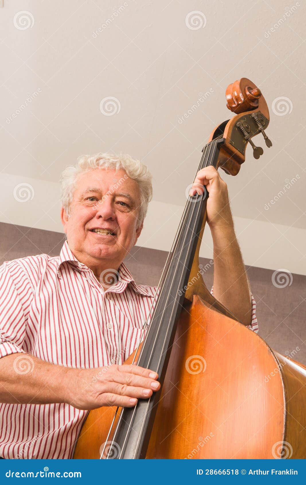 Senior man playing bass. stock photo. Image of classical - 28666518