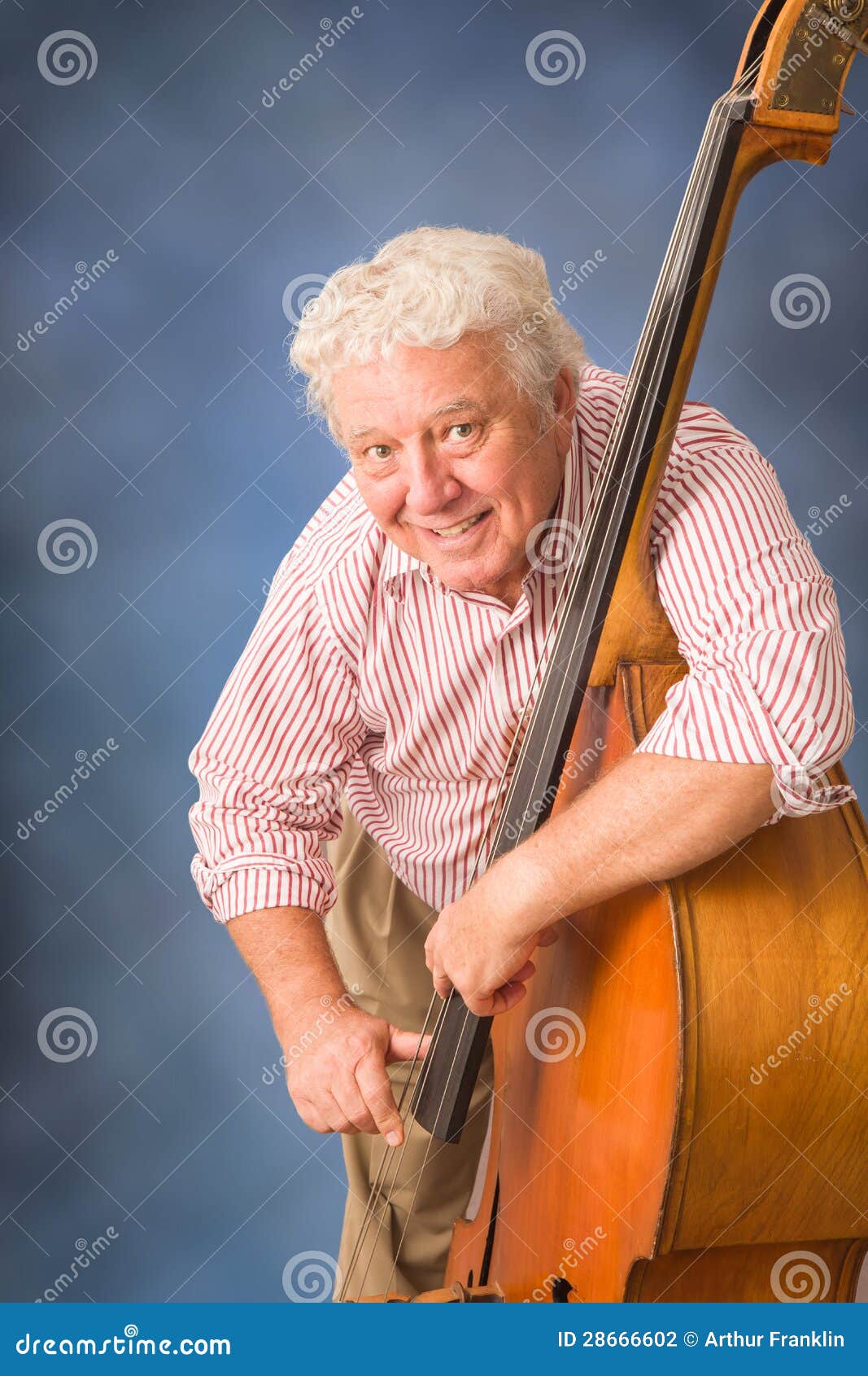 Senior man playing bass. stock photo. Image of music - 28666602