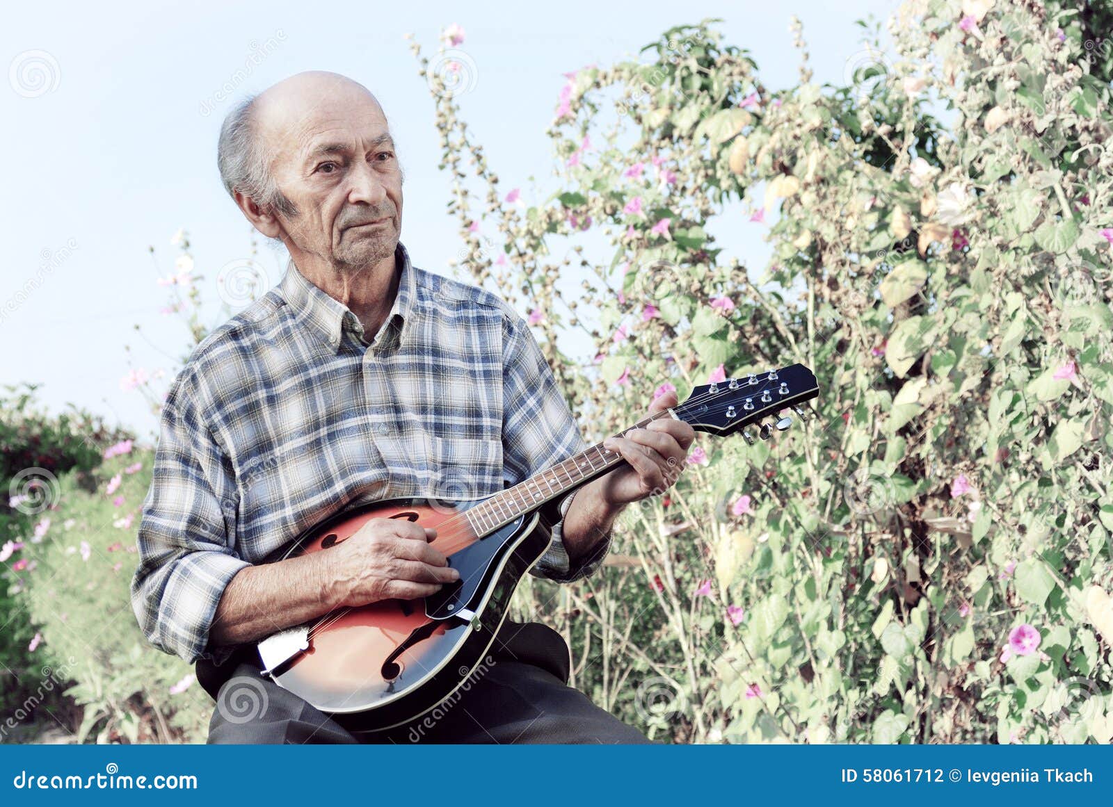 Senior Man Playing Mandolin Stock Photo - Image of senior, traditional ...