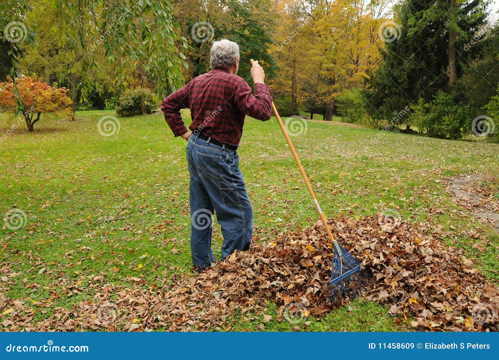 Man Raking Leaves