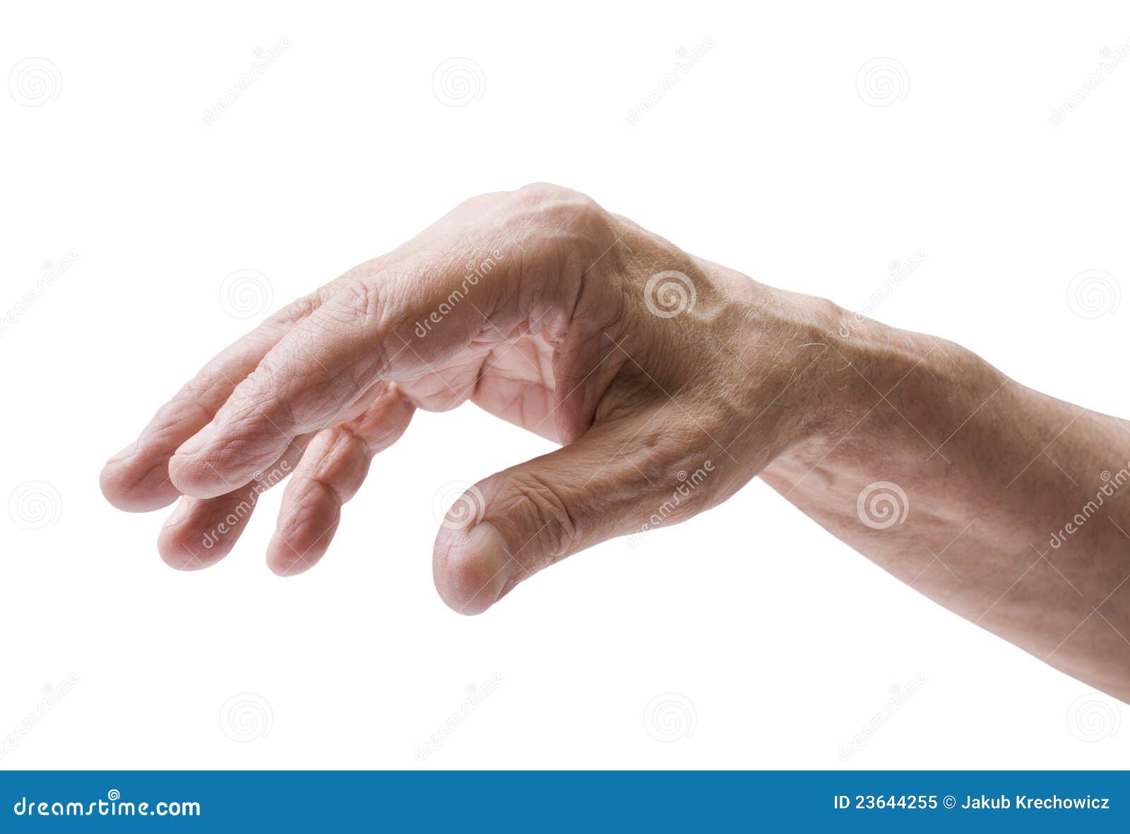 Senior man s hand stock image. Image of palm, isolated - 23644255