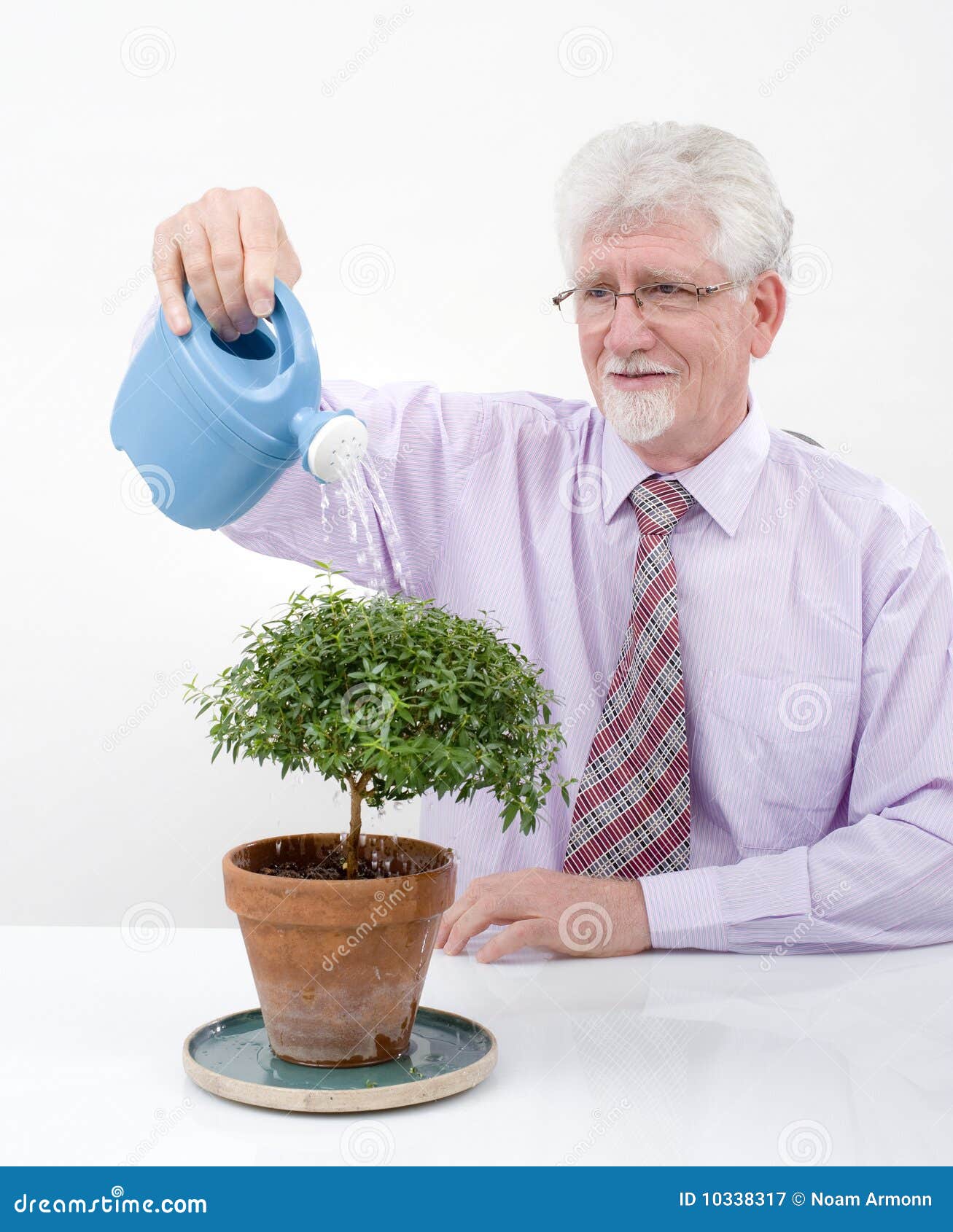 Senior man small tree stock image. Image of grow, cultivated - 10338317