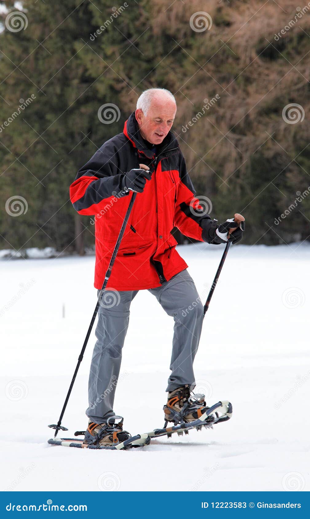 Senior Man Snowshoeing stock image. Image of golden, away - 12223583