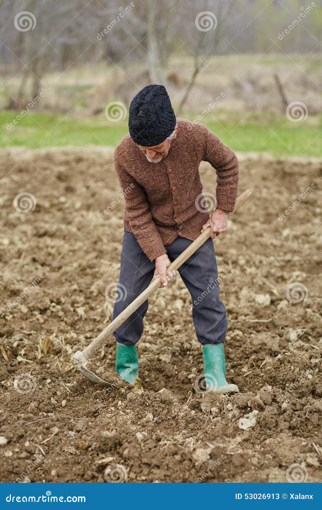Senior man sowing potatoes stock image. Image of agriculture - 53026913