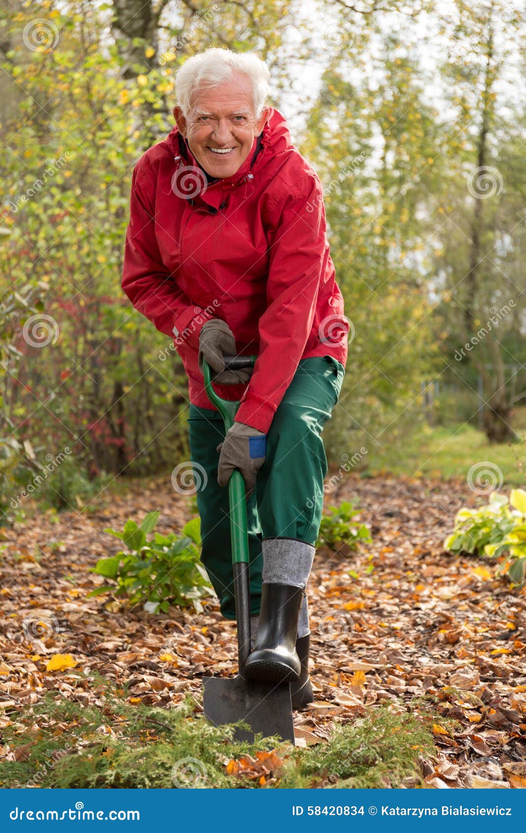 Senior Man with a Spade in Garden Stock Photo - Image of outside, close ...
