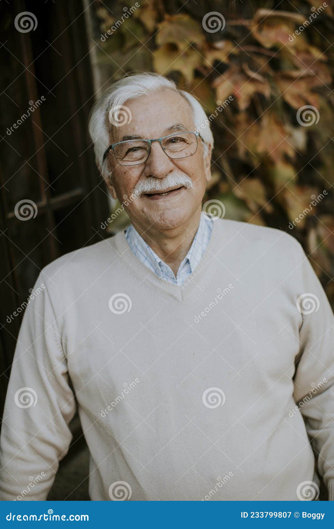 Senior Man Standing by the Window at the Autumn Day Stock Image - Image ...