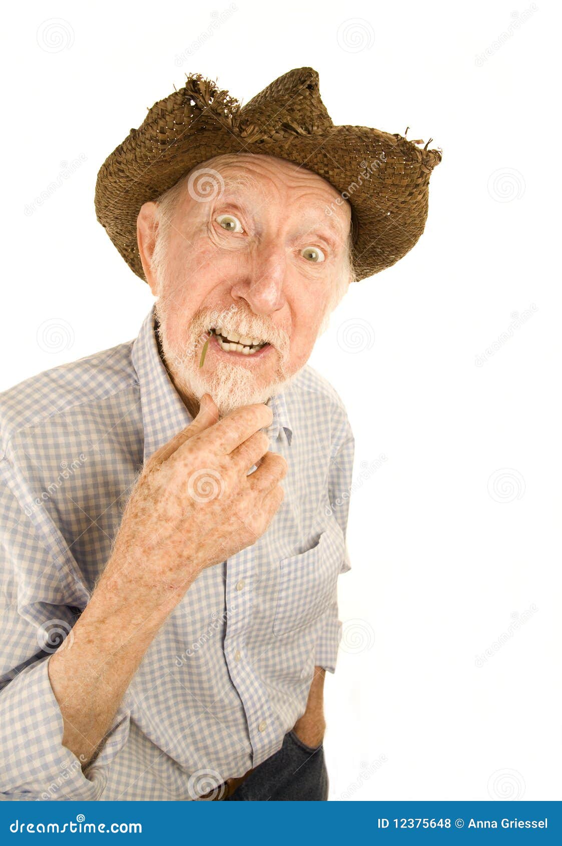 Senior man in straw hat stock photo. Image of rancher - 12375648
