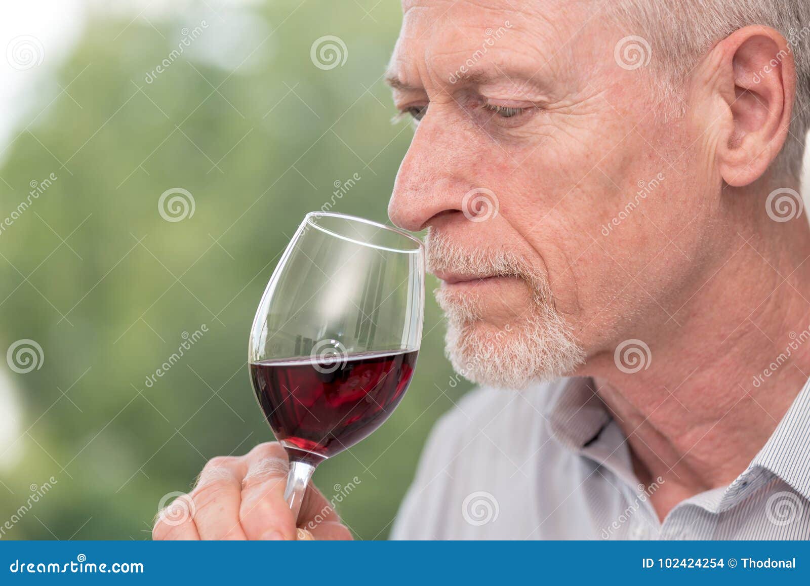 Mature Man Tasting Red Wine Stock Photo - Image of concept, smelling ...