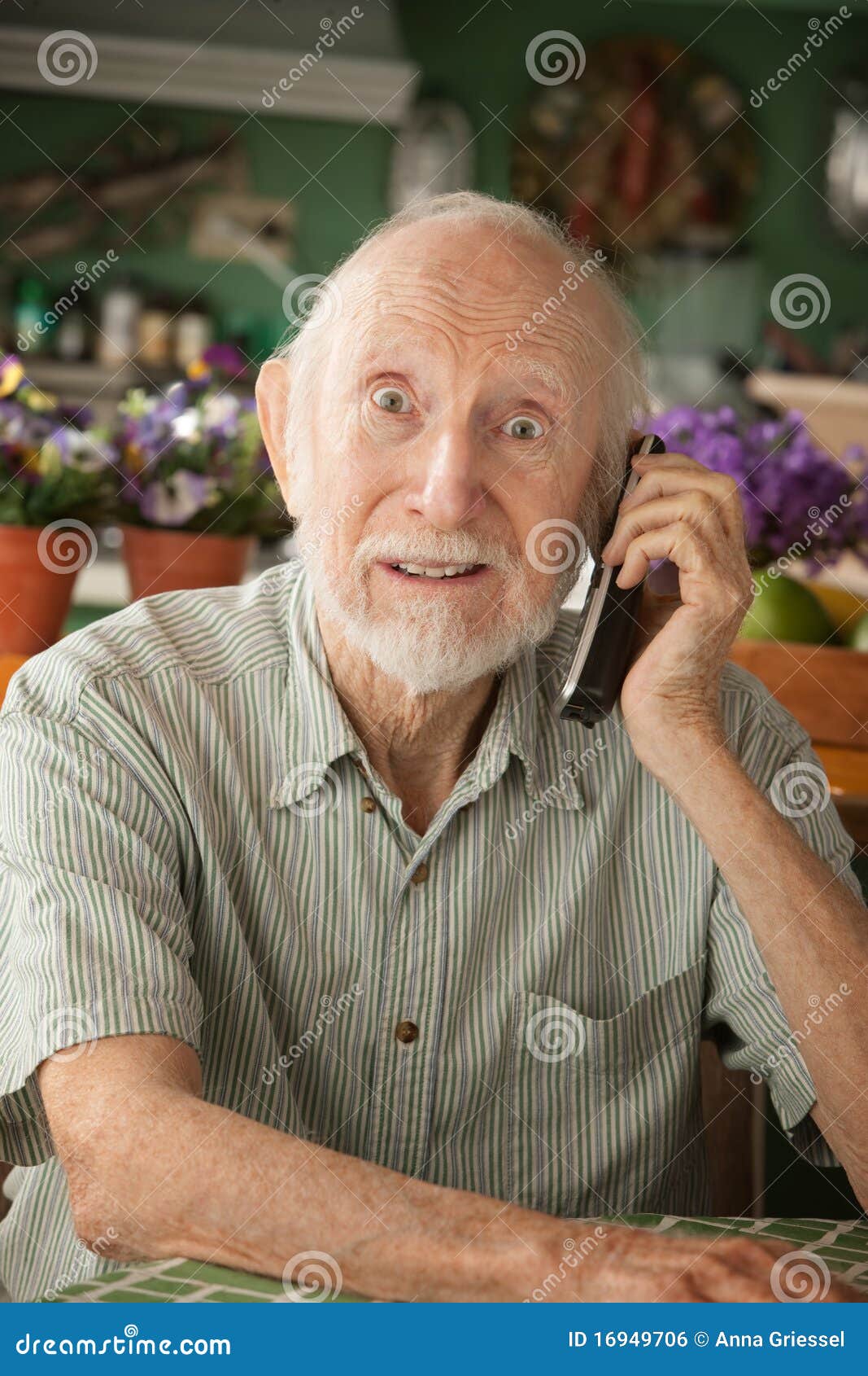 Senior man on telephone stock photo. Image of beard, talk - 16949706