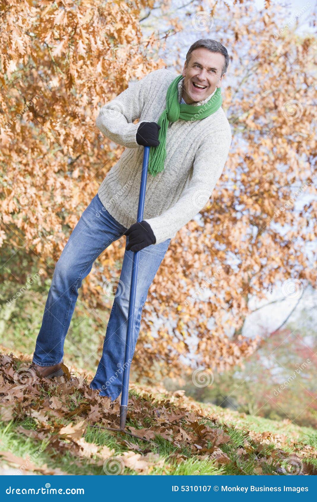 Senior Man Tidying Leaves in Garden Stock Image - Image of leaves ...