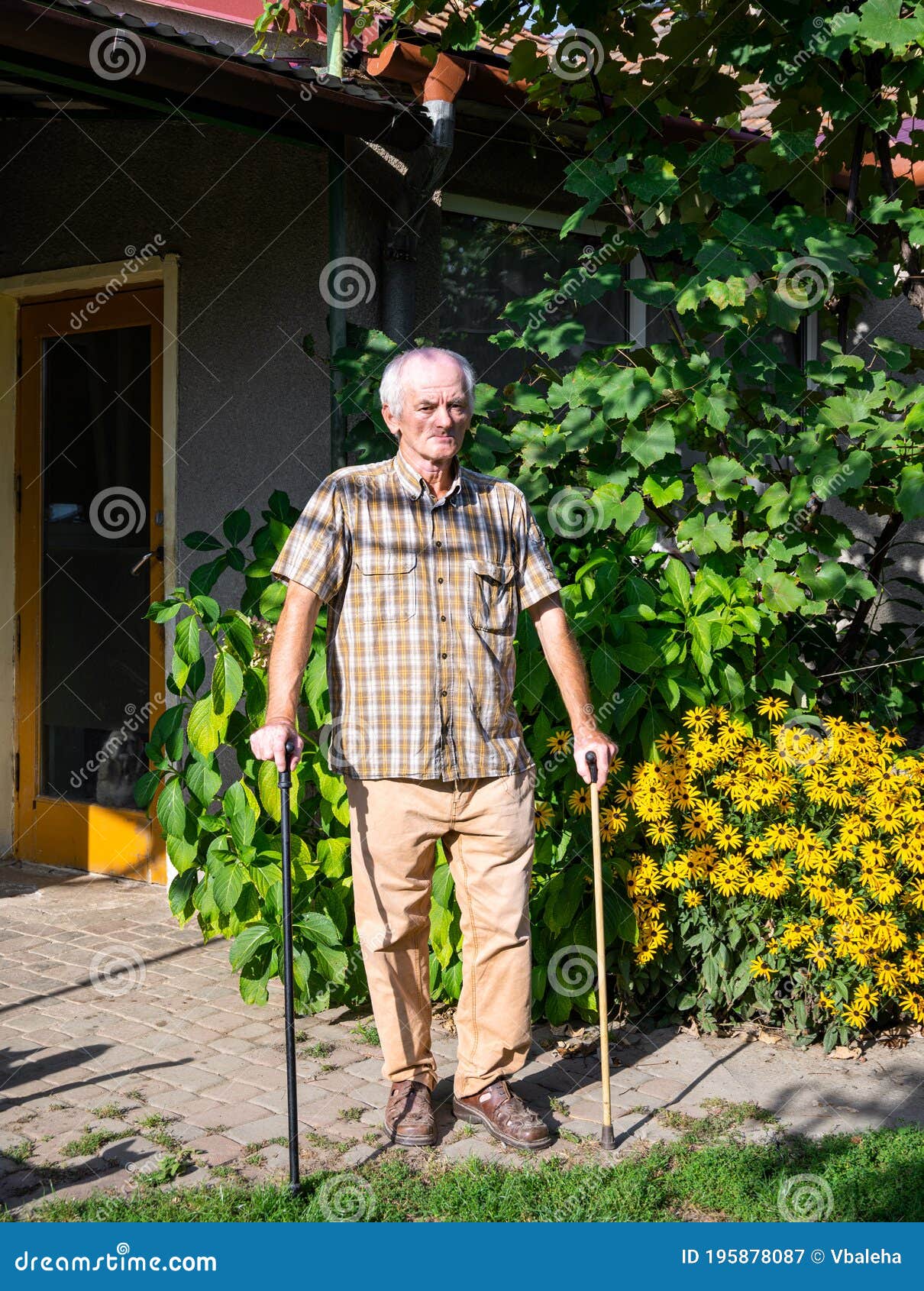 Senior man with two canes stock image. Image of outdoors - 195878087