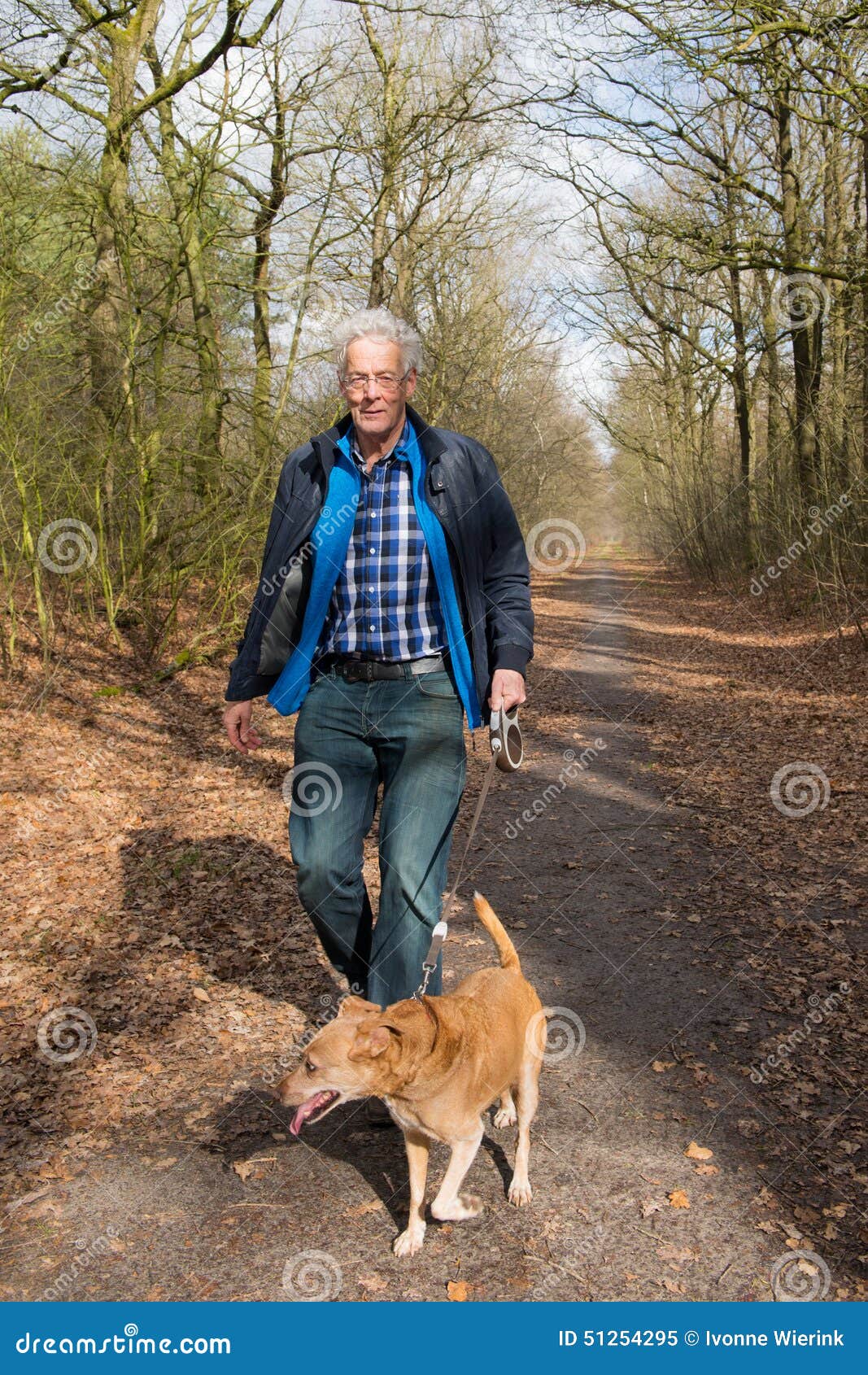 Senior Man Walking Dog in Forest Stock Image - Image of animal, trees ...