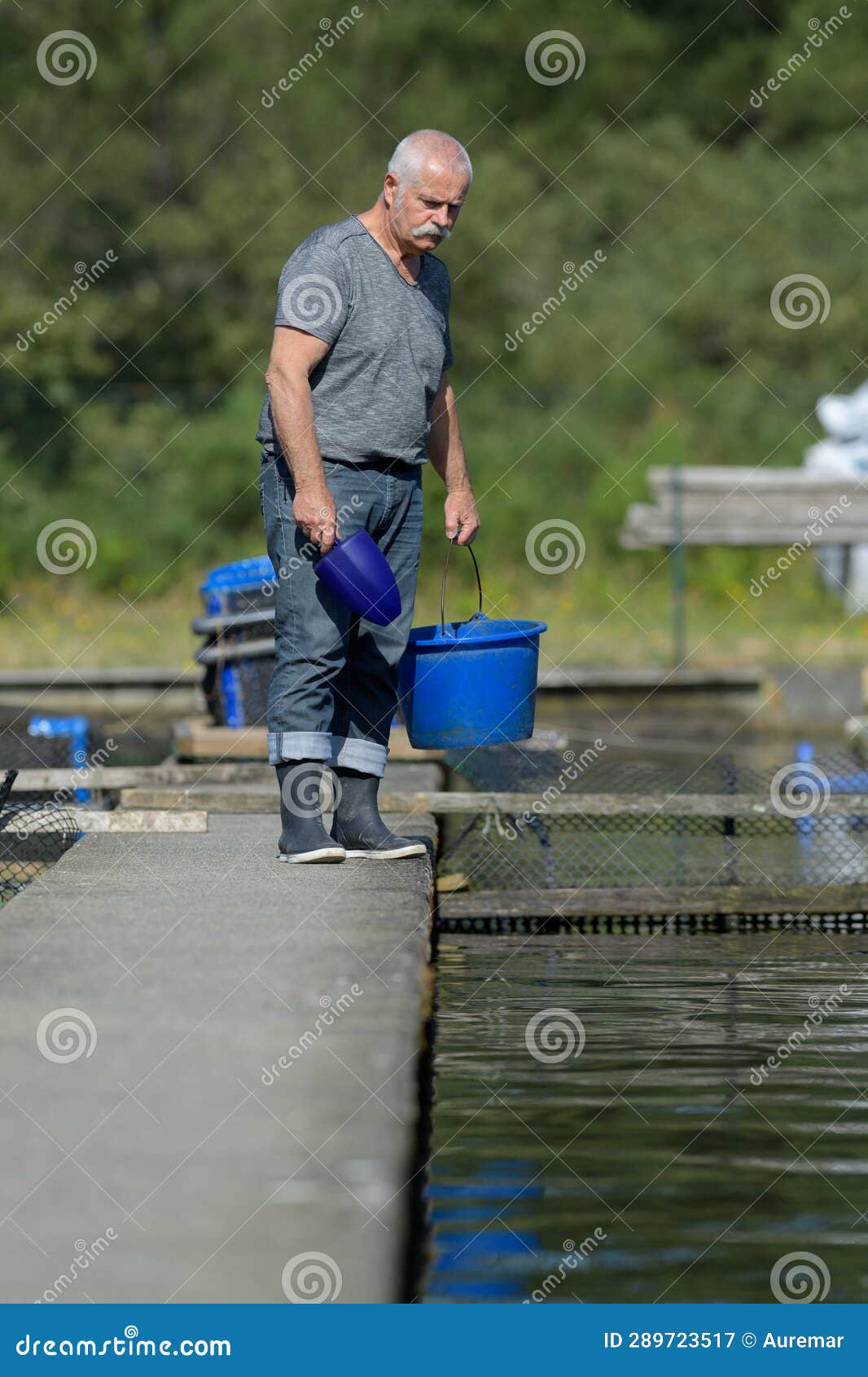 Senior Man Working at Fish Farm Stock Image - Image of aquatic, island ...