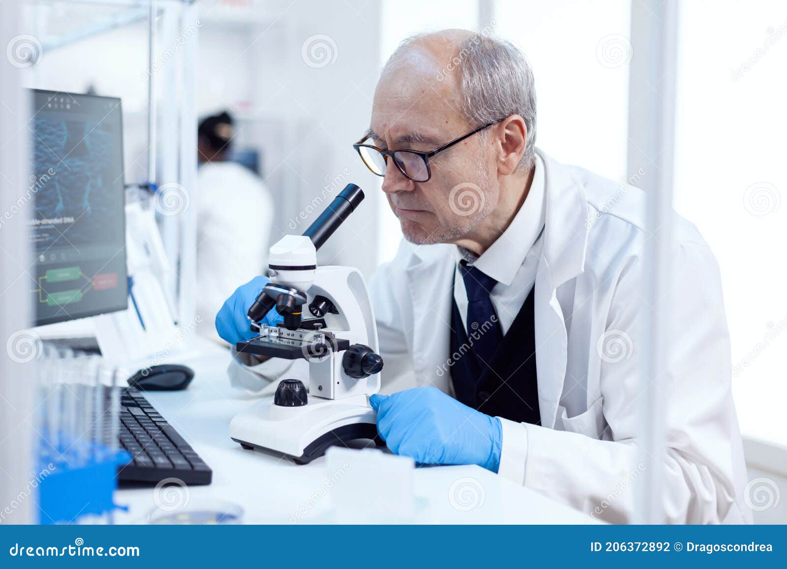 Senior Man Working in Life Science Laboratory Stock Photo - Image of ...