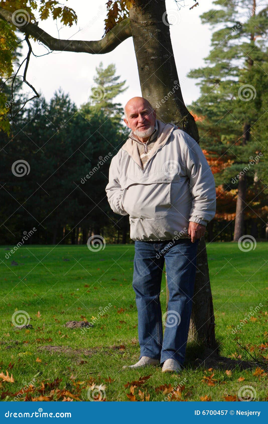 Senior Men Standing Near Tree Stock Image - Image of happiness, older ...