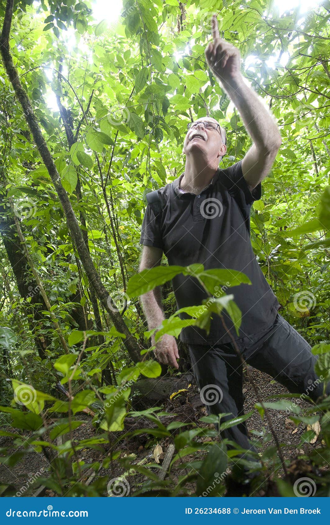Senior is pointing at tree stock photo. Image of adventure - 26234688