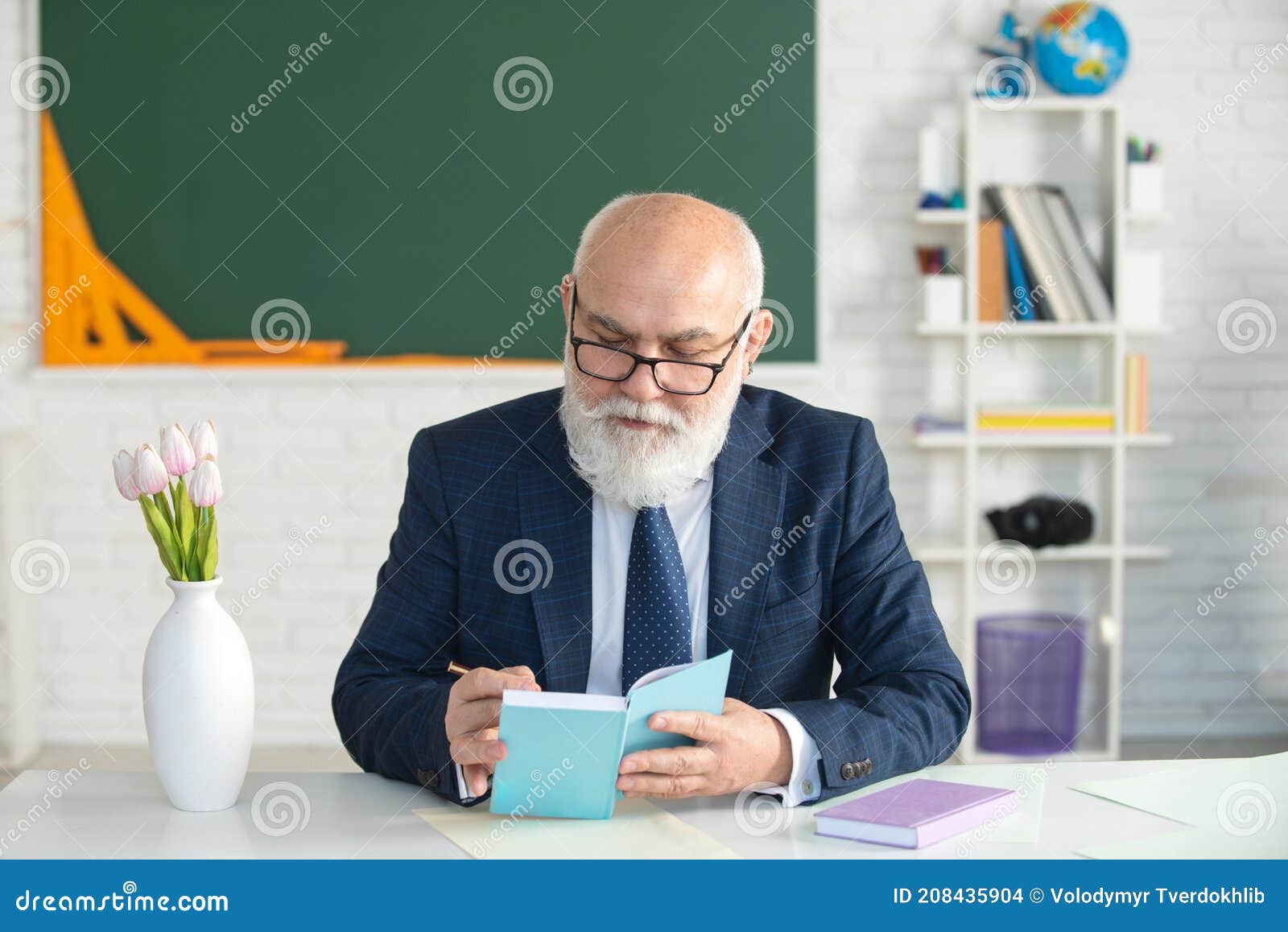 Senior Professor at School. Man Teacher with Beard in Class. Stock ...
