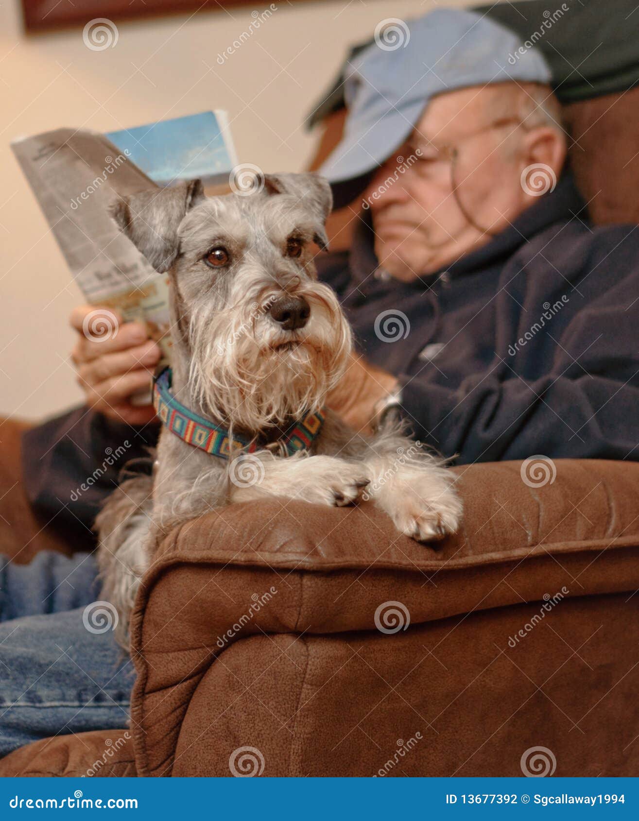 151 Dogs Builder Stock Photos - Free & Royalty-Free Stock Photos from ...