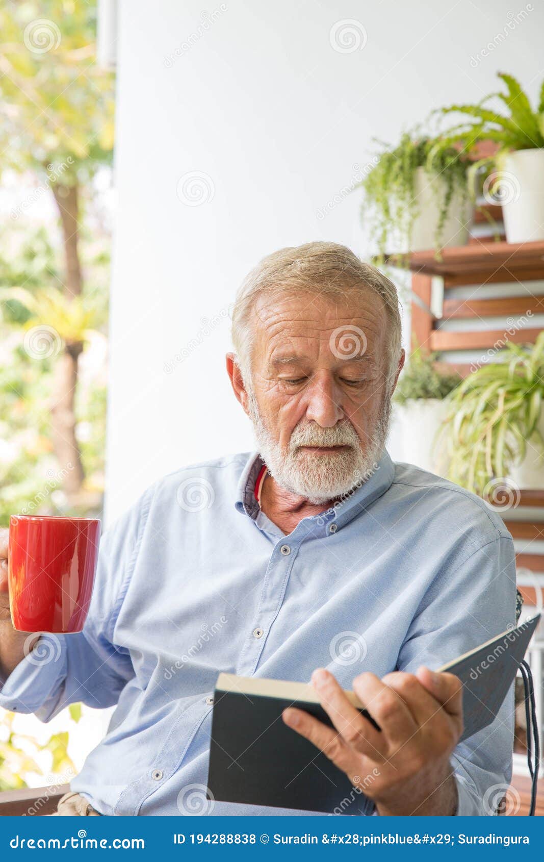 Senior Retirement Man Happy Reading Book at Home Stock Photo - Image of ...