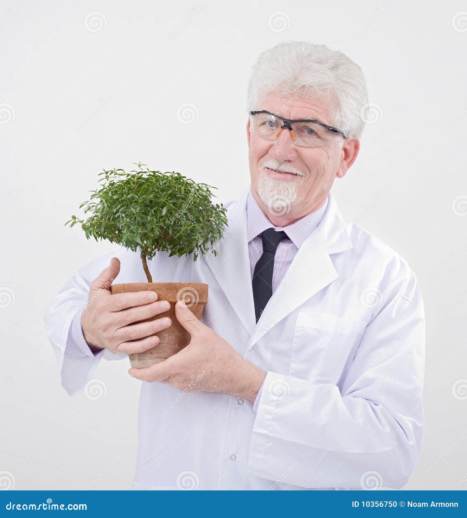 Senior Scientist Holding Plant Stock Photo - Image of biology, life ...