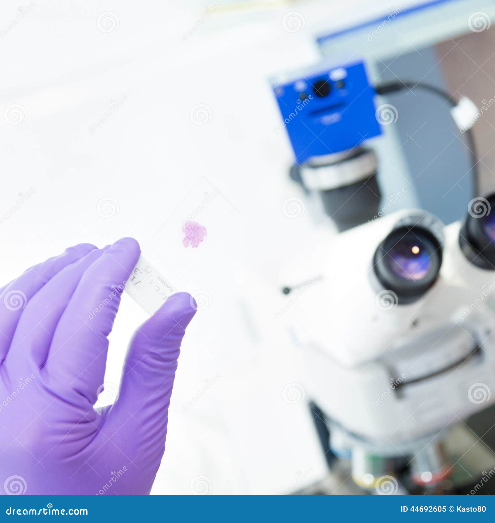 Senior Scientist Microscoping in Lab. Stock Image - Image of industry ...