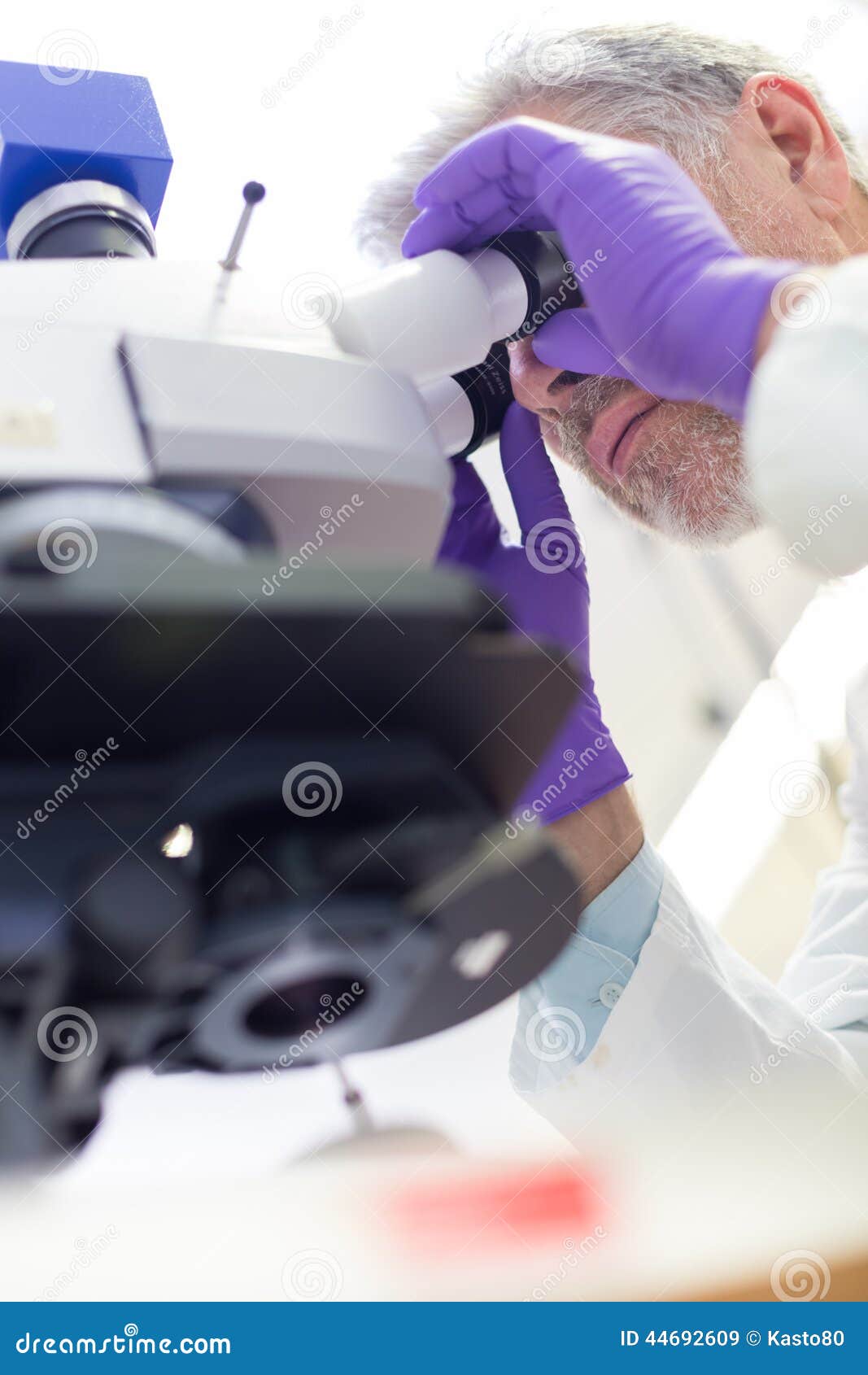 Senior Scientist Microscoping in Lab. Stock Image - Image of biology ...