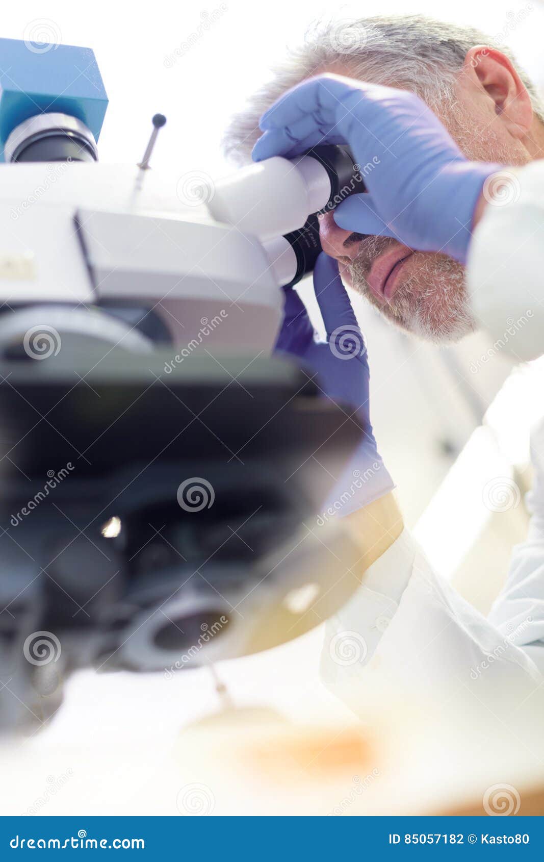 Senior Scientist Microscoping in Lab. Stock Photo - Image of biology ...