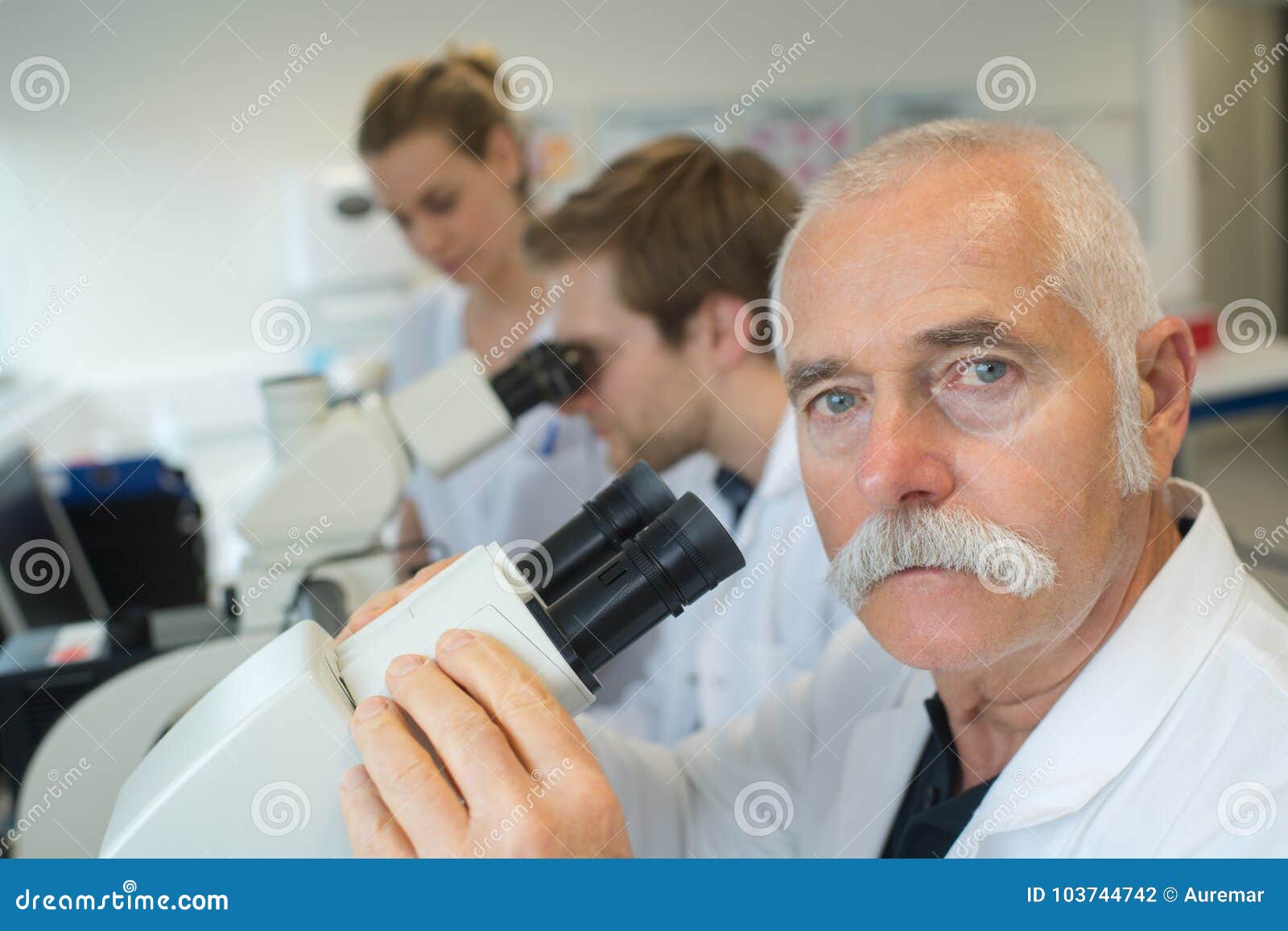 Senior Scientist at Work in Laboratory Stock Photo - Image of cure ...