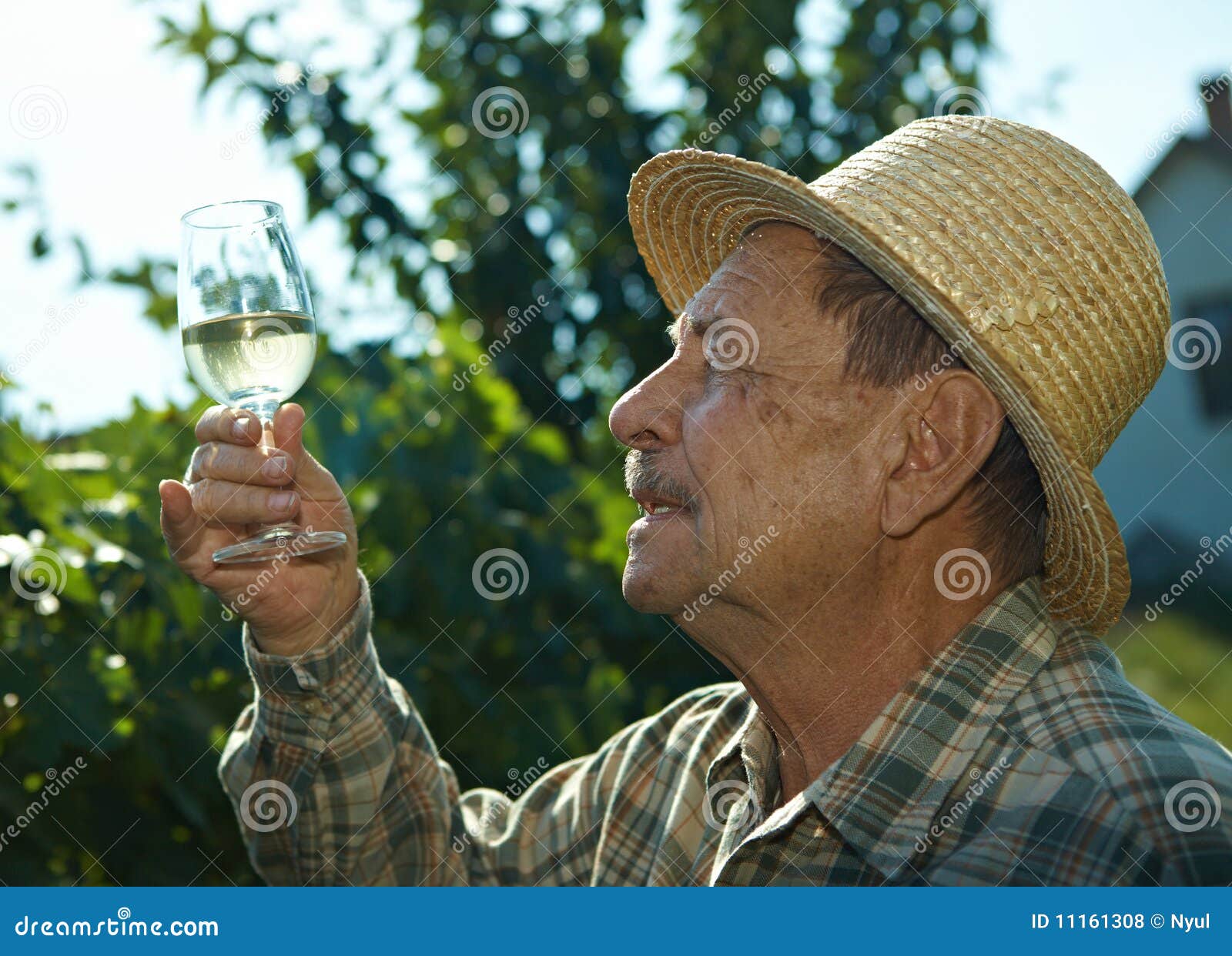 Senior vintner trying wine stock photo. Image of elderly - 11161308