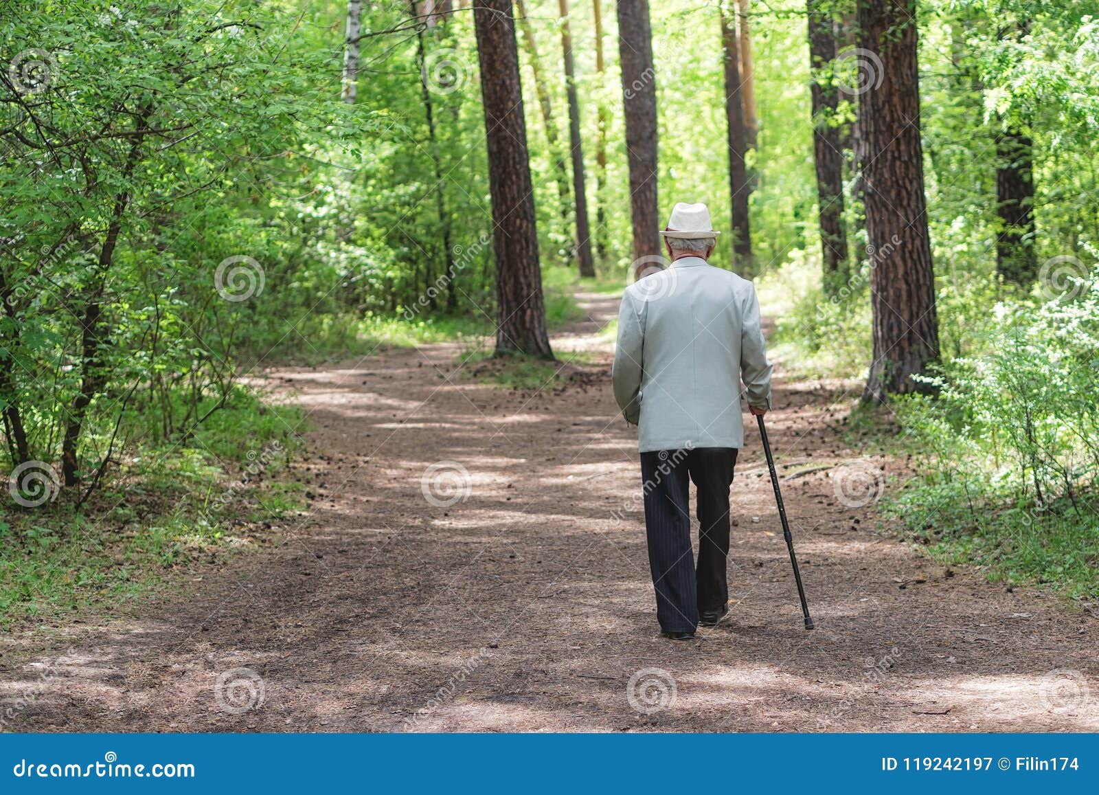 Senior Walking Alone at Park, Back View of Old Man Editorial ...
