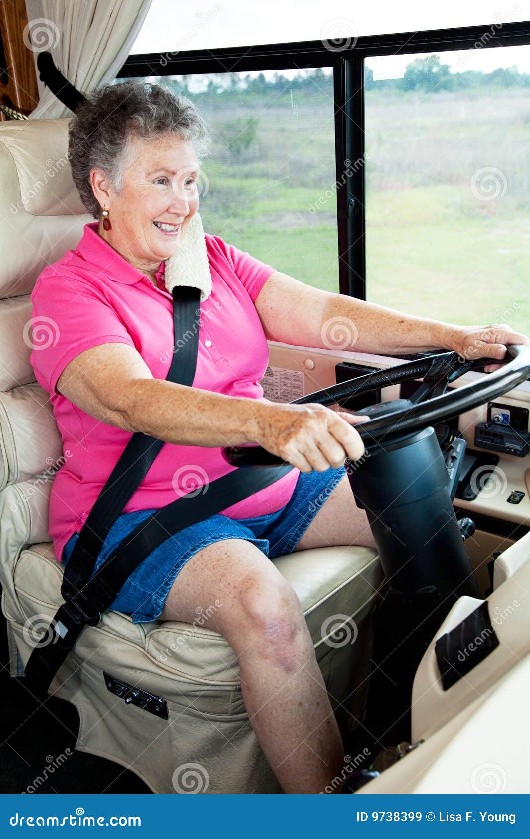 Senior Woman Behind the Wheel Stock Image - Image of navigation, real ...