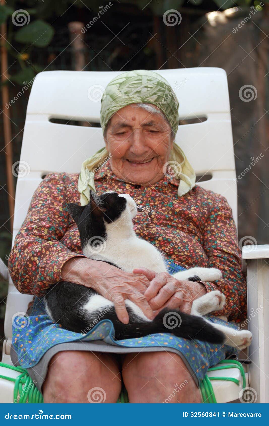 Senior Woman And Cat Stock Image Image Of Grandmother 32560841