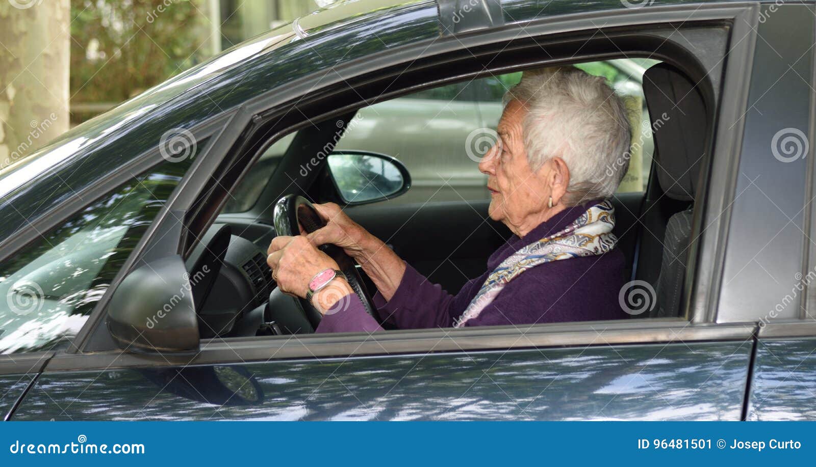 Senior woman driving a car stock image. Image of elderly - 96481501