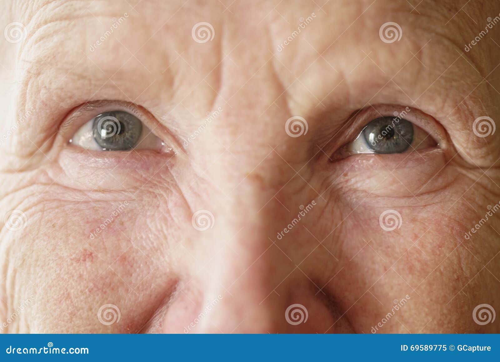 Senior Woman Grandma Eyes Looking To Camera Close Up Portrait Stock Image Image Of Closeup