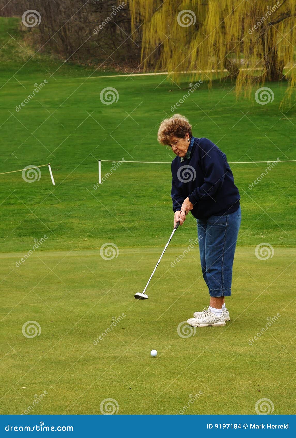 Senior Woman Putting on the Green Stock Photo - Image of putting, adult ...