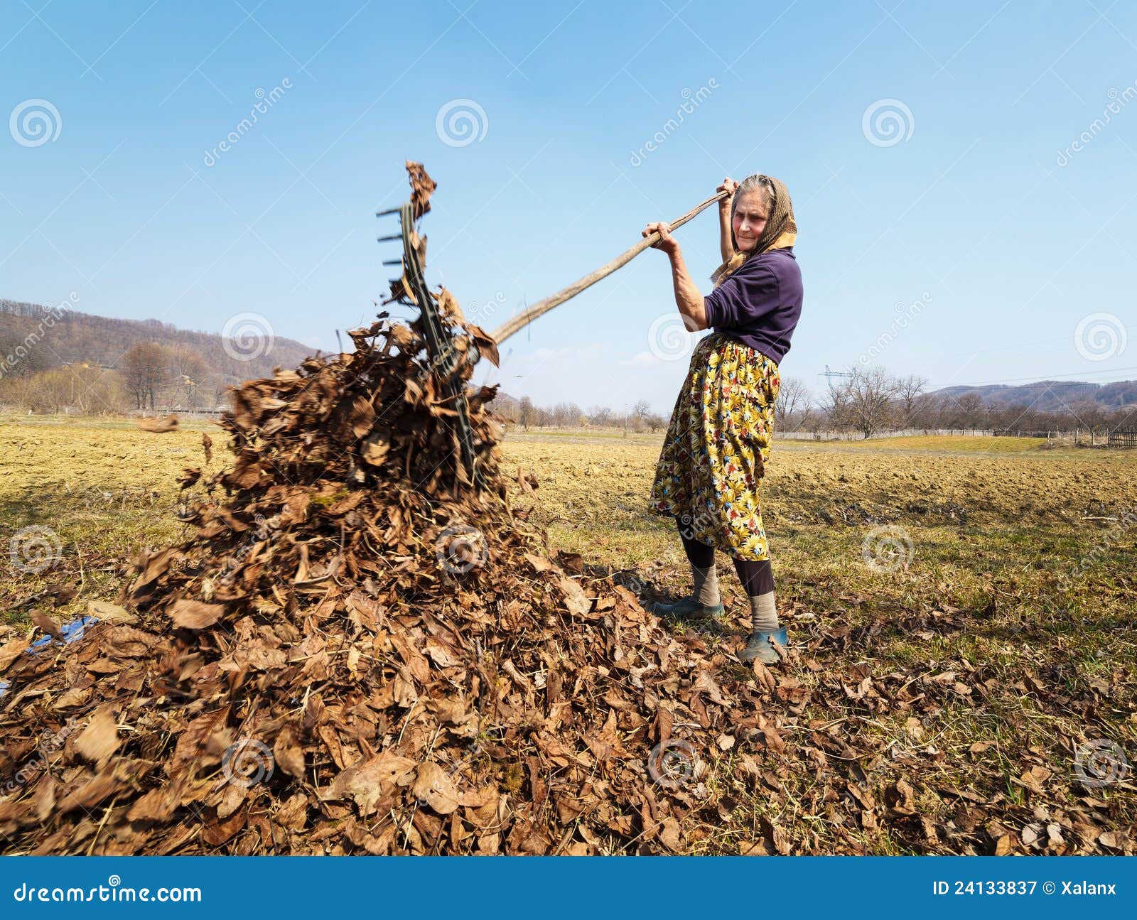 Senior woman with a rake stock image. Image of active - 24133837