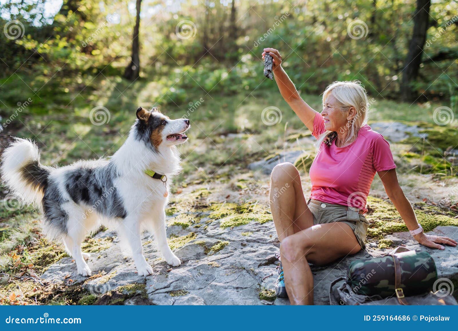 Senior Woman Training Her Dog during Walk in Forest. Stock Photo ...