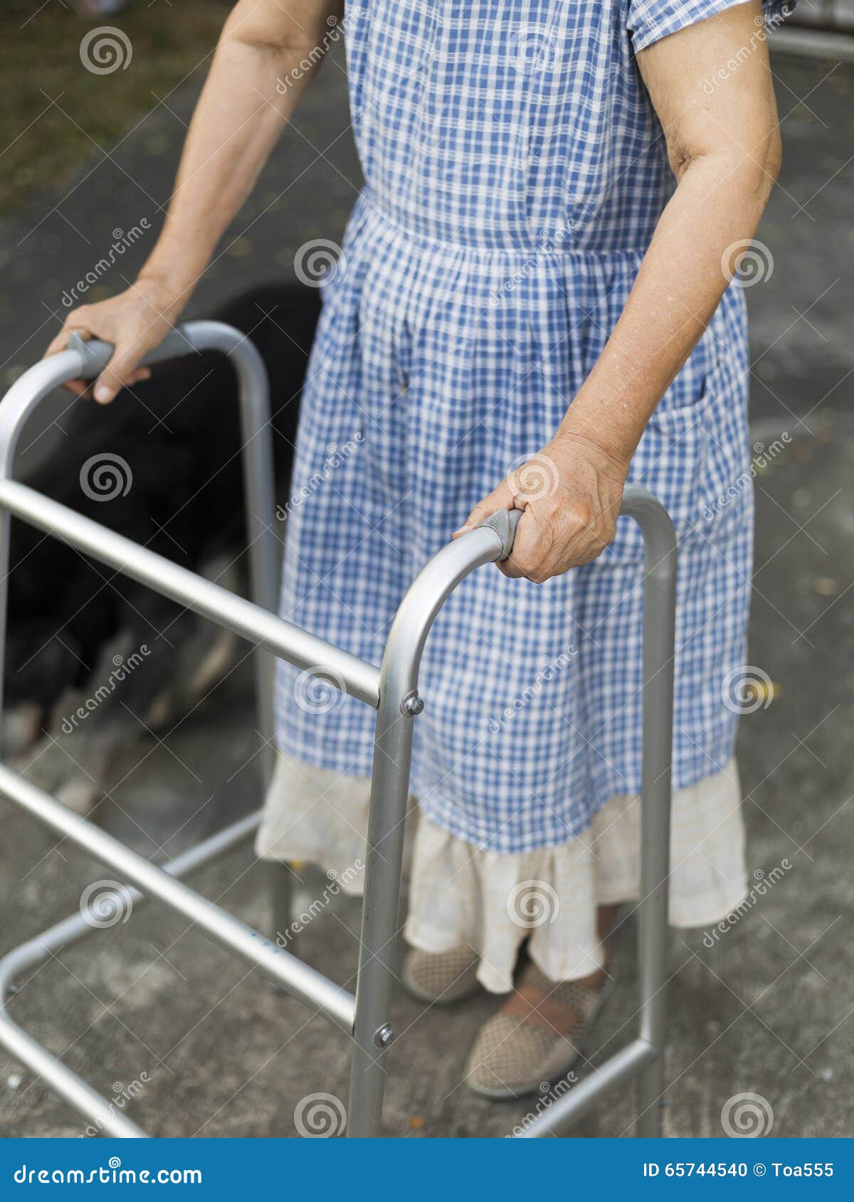 Senior Woman Using a Walker with Dog Stock Photo - Image of care ...