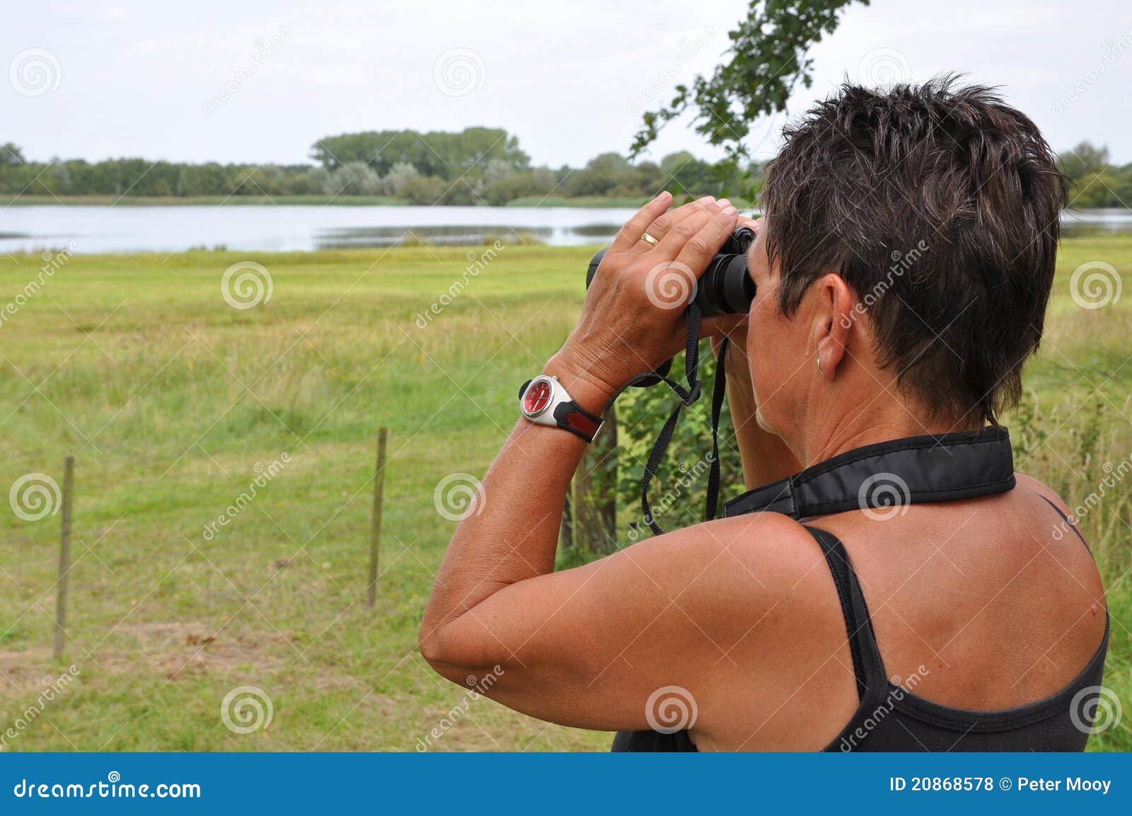 Senior Woman Watching Birds Stock Photo - Image of birds, smile: 20868578